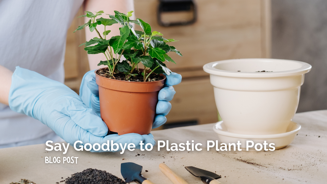 Say Goodbye to Plastic Plant Pots | Environmental Impact – Tranquil Plants